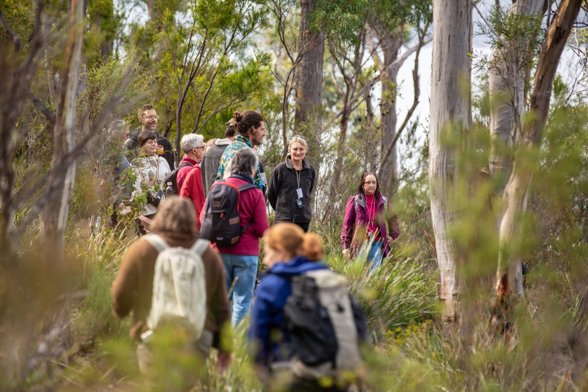 Kunanyi connection | Blak Led Tours Tasmania